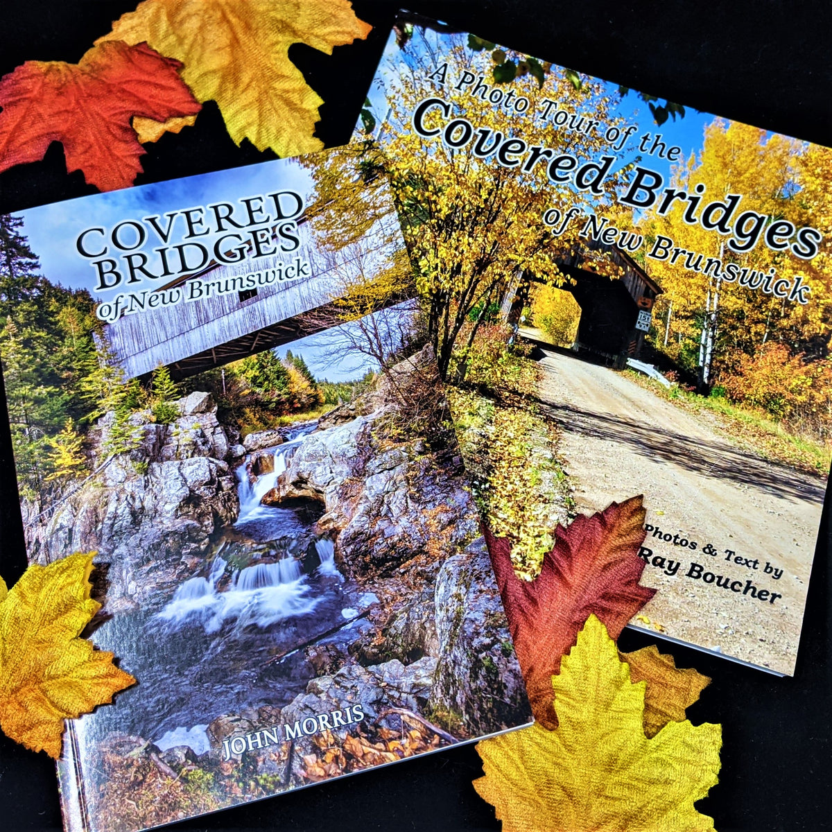 Autumn Adventures – NBM Boutique MNB