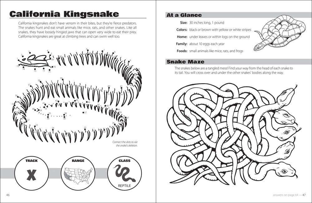 Animals & Skeletons Activity Book – NBM Boutique MNB